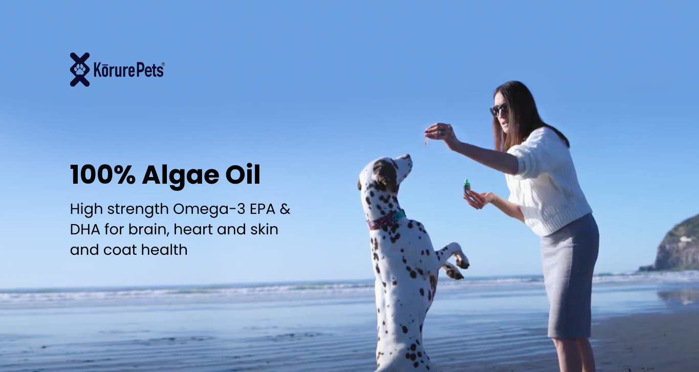 Korure Pet 100% Algae Oil – Infinity Pet Health